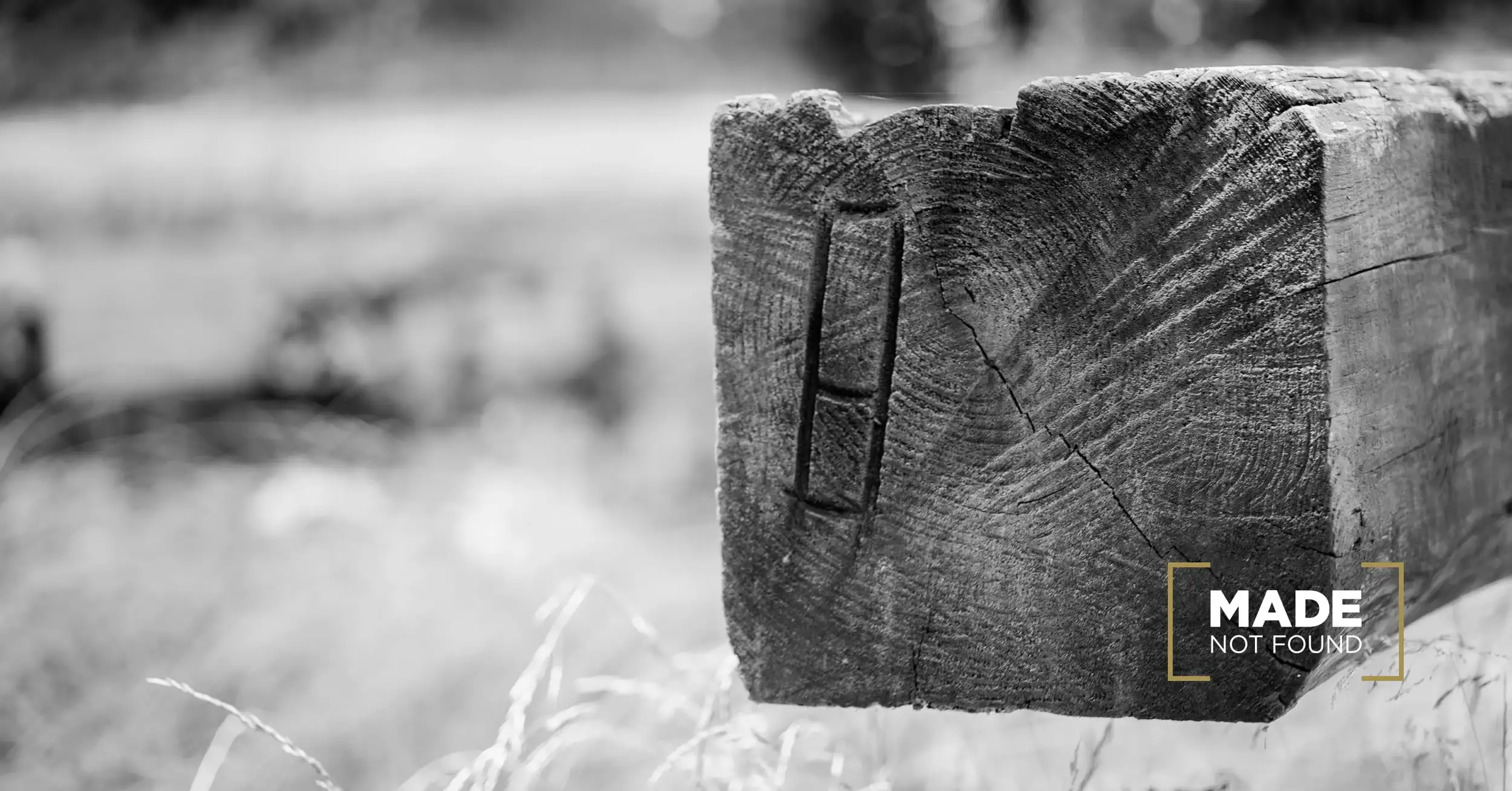 Growing Successful SaaS Businesses: One CEO’s Journey - Lock 8 Partners