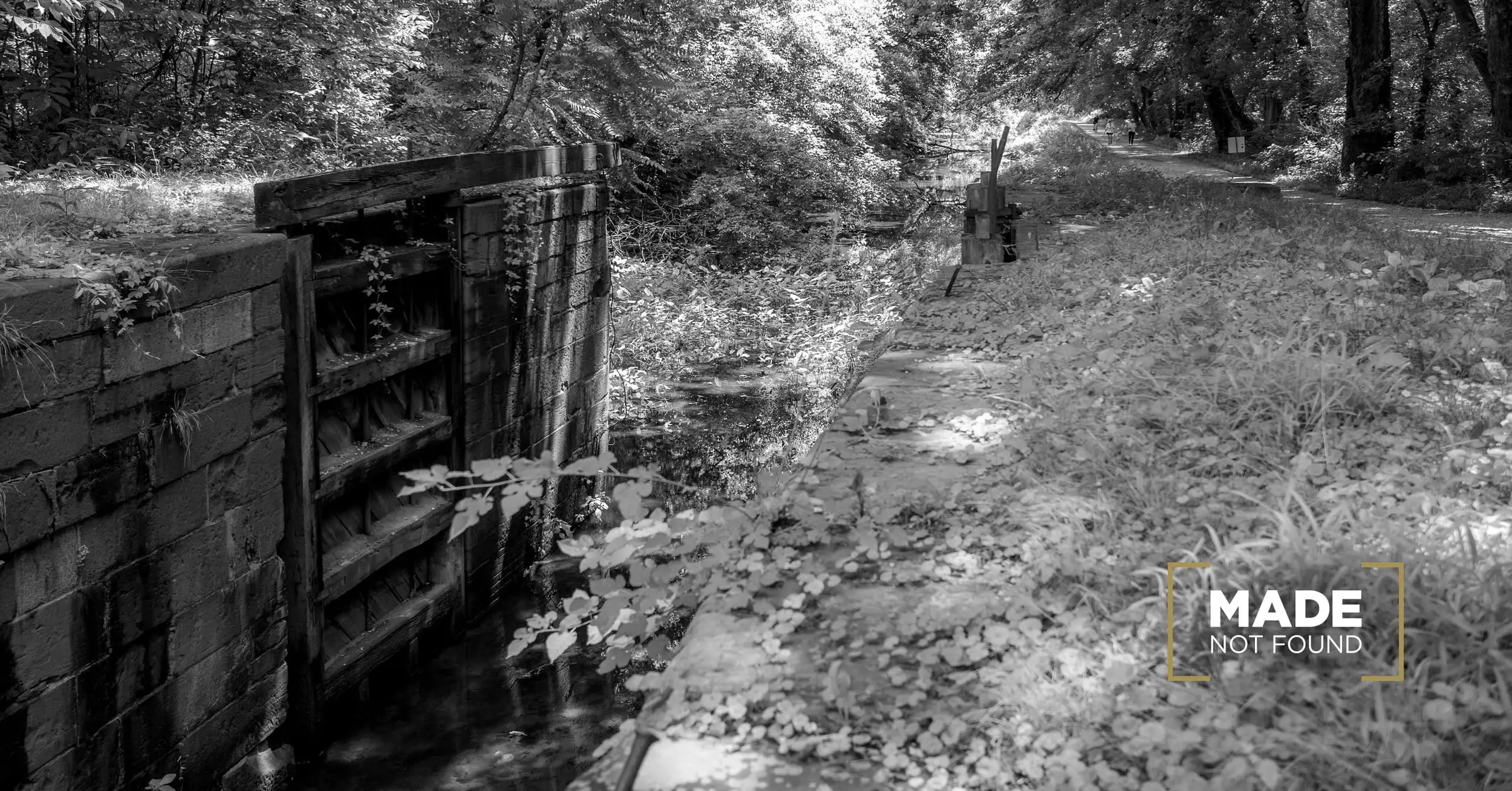 Engaging the Board: Errors and Admissions from a New CEO - Lock 8 Partners